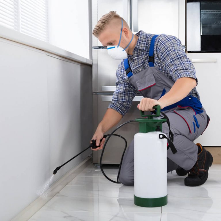 Pest Control Service in Melbourne | 0480018996 | Pest Control Melbourne